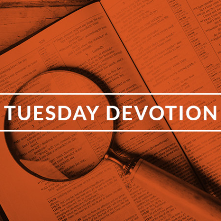 Daily Devotions - Zion Evangelical Lutheran Church
